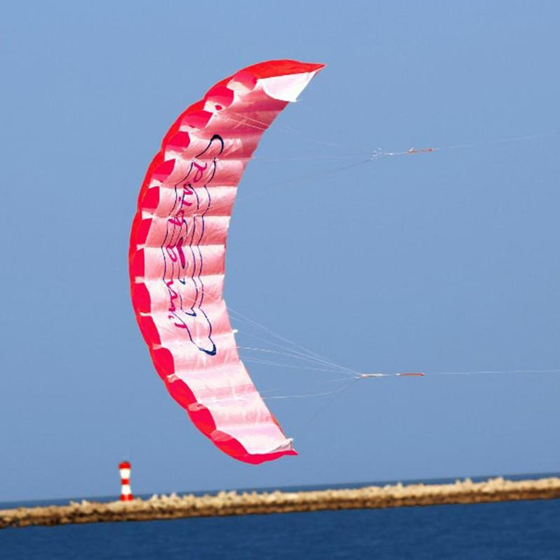 Dual Line Professional Stunt Kites Large 140cm For Outdoor Fun ...